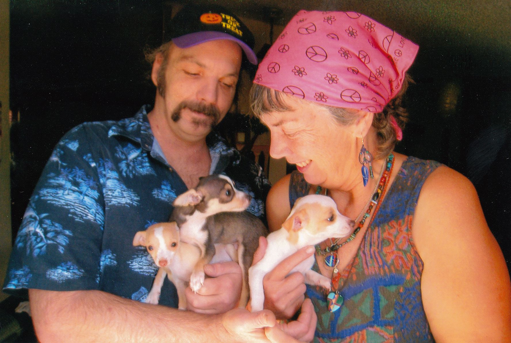 Good Dragon / Bad Dragon | ZekeBlog 2.0